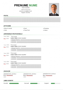 ️ Modele de CV Simple si Clasice | Descarca Rapid si Gratuit