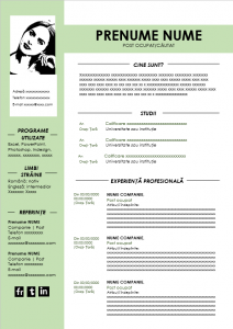 ️ Modele de CV Gratuite pentru Descarcare Online 2025