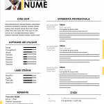 Format de CV completat ️ Descarca ACUM Gratis!