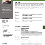 Model CV simplu download gratuit → Descarca ACUM | curriculum.ro
