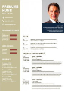 Formate de CV-uri dupa Profesii | www.curriculum.ro