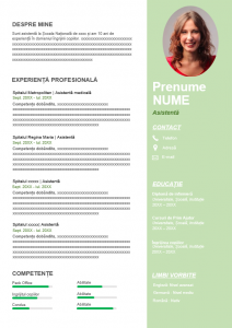 ️ Modele de CV Gratuite pentru Descarcare Online 2025